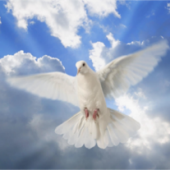 Verma Smith Obituary - Casa Grande, AZ