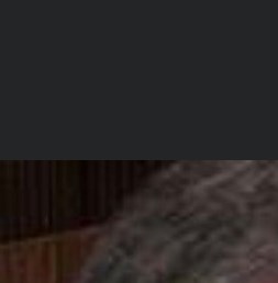 Samuel E McDaniel Obituary - Homewood, AL Samuel E McDaniel Obituary - Homewood, AL