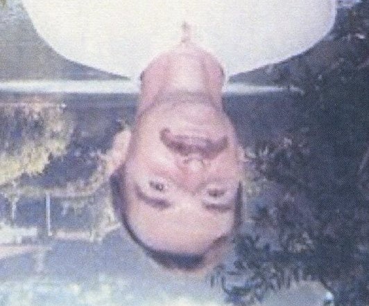 John Magnus Obituary