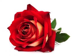 Larry F Craig Obituary - Barstow, CA