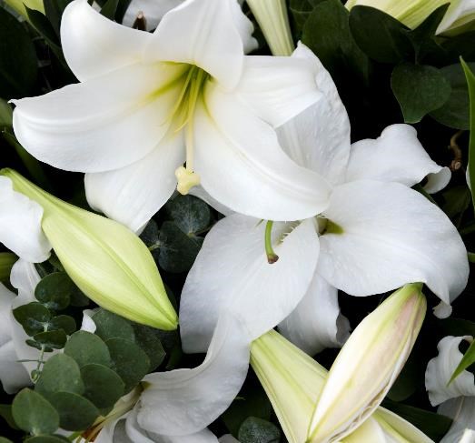 Erma Davis Obituary - Stafford, TX