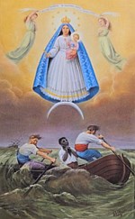 Palm Harbor, FL Obituaries Online | Find Palm Harbor Obituaries