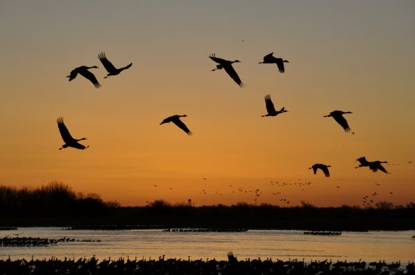 Ronald Coon Obituary - Salem, OR