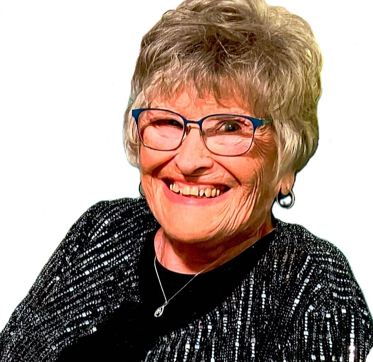 Diane Blumline Obituary - Clinton Township, MI