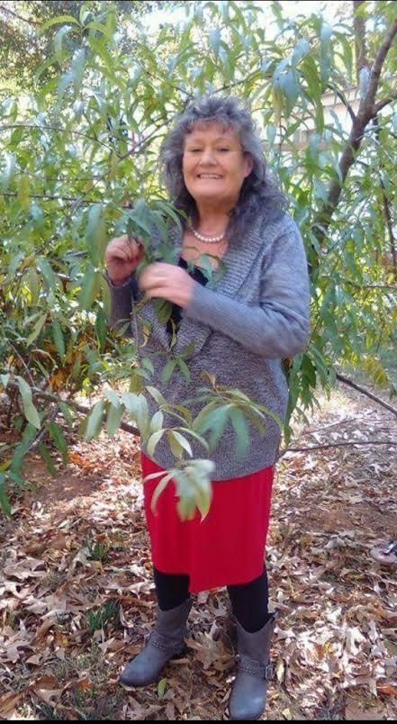 Brenda Cox Obituary Anniston Al