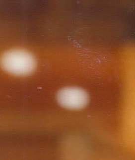 Brenda Sue Lawrence Obituary - Knoxville, TN Brenda Sue Lawrence Obituary - Knoxville, TN