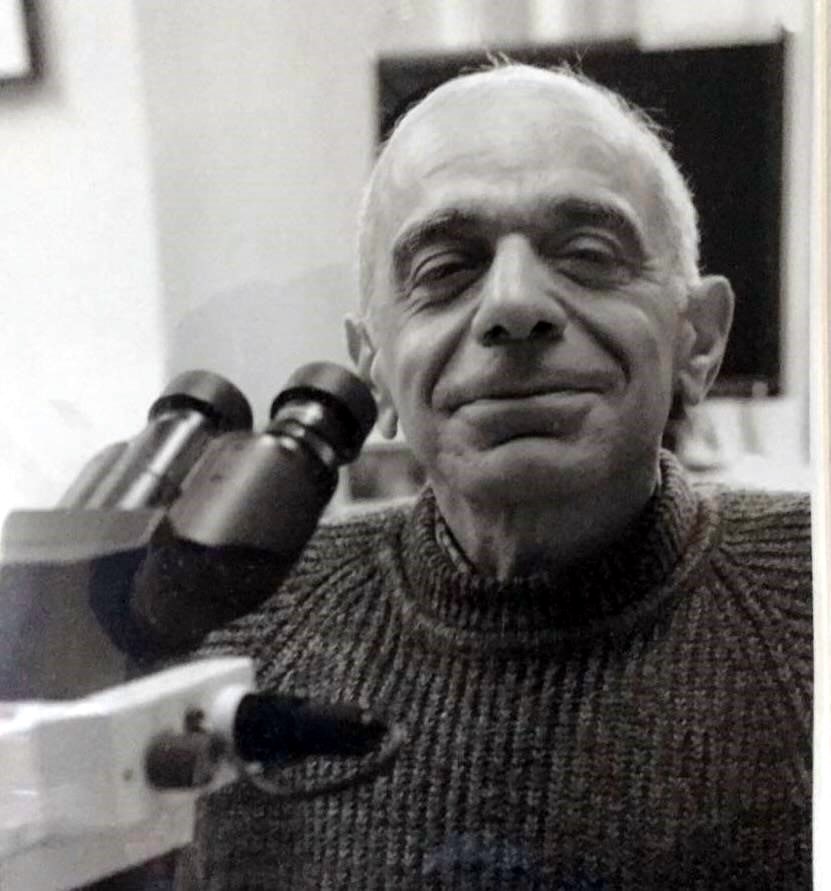 Samy Samuel Iskander Obituary - Winston Salem, NC