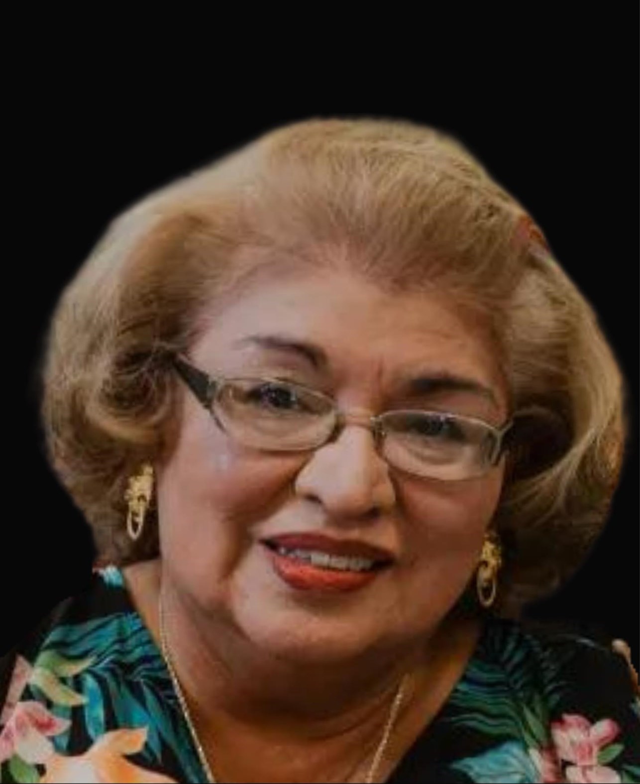 Lydia Guerrero Obituary - Houston, TX