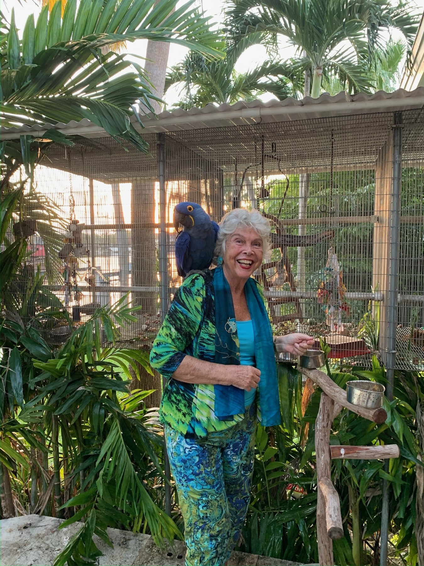 Daria Ann Feinstein Obituary - Miami, FL