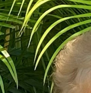Grayce Louise Simpson Obituary Monroe Nc