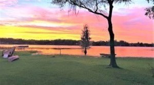 David Curfman Obituary - Brandon, FL