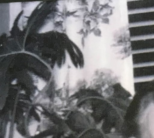 Patricia Kaufmann Obituary - Nottingham, MD Patricia Kaufmann Obituary - Nottingham, MD