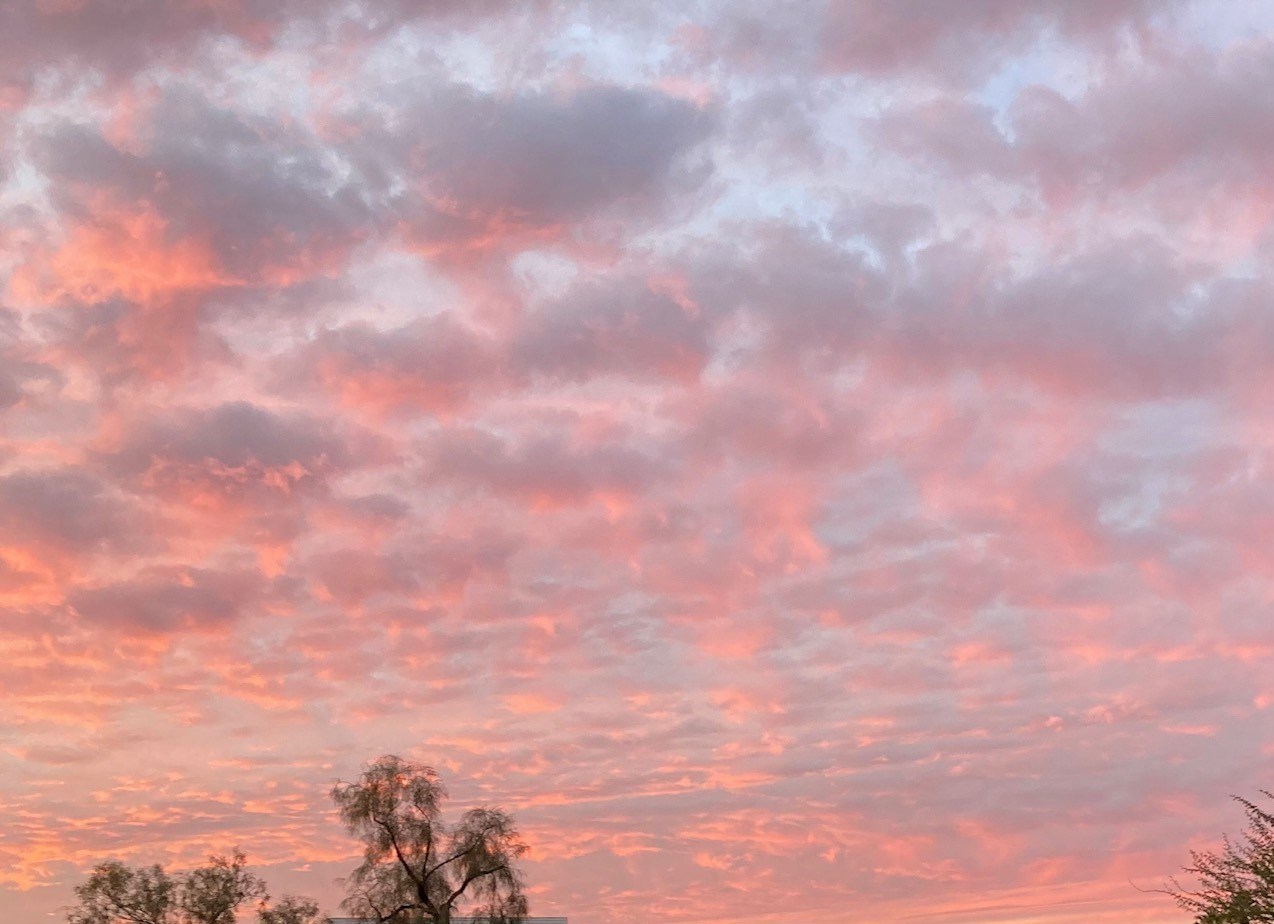 Denise Marie Webster Obituary - Phoenix, AZ