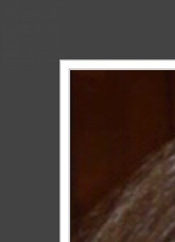 Linda Purnell Obituary - Raleigh, NC Linda Purnell Obituary - Raleigh, NC
