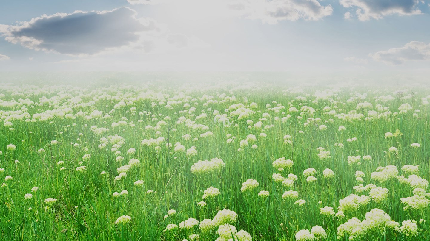 Carole Taylor Obituary - Mansfield, OH