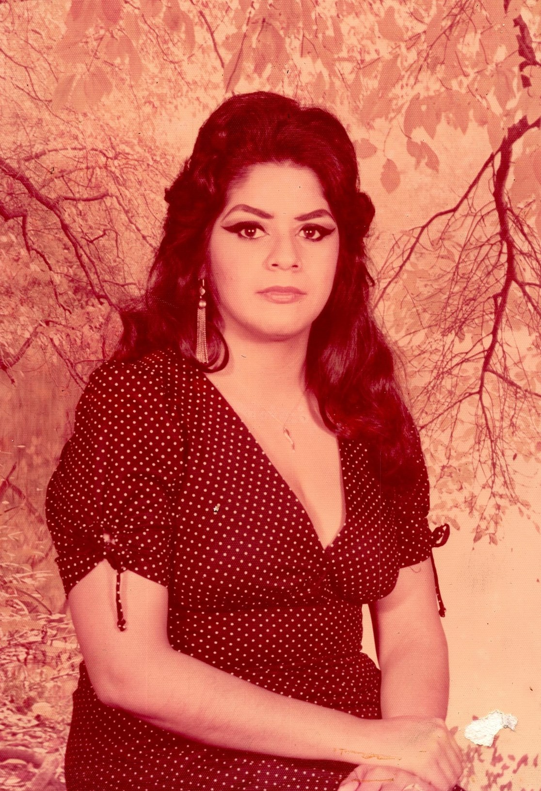 Betty Rex Obituary - Houston, TX