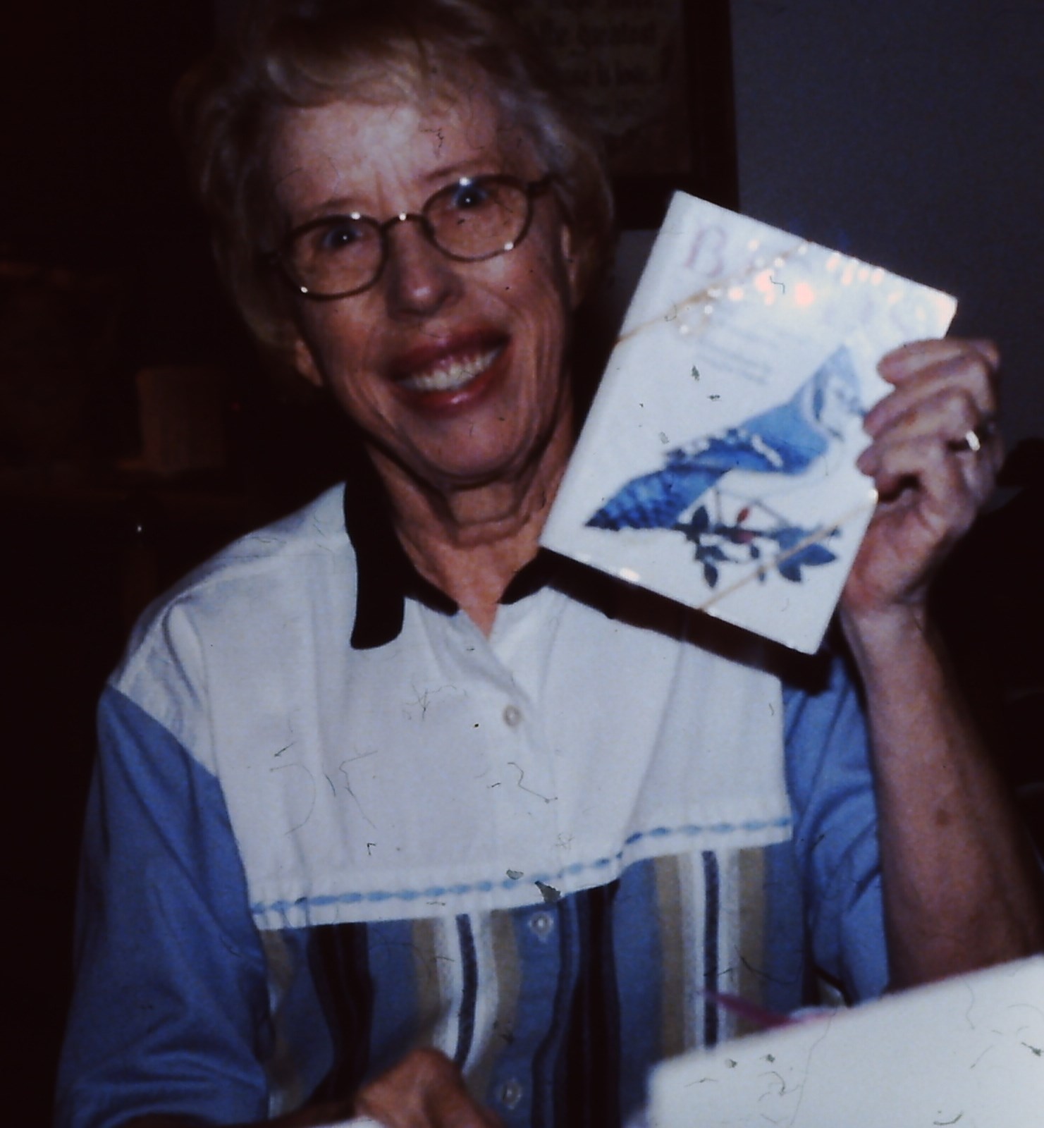 Alice Blom's Instagram, Twitter & Facebook on IDCrawl