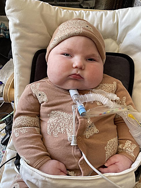 Jack Russell Obituary - Mabank, TX