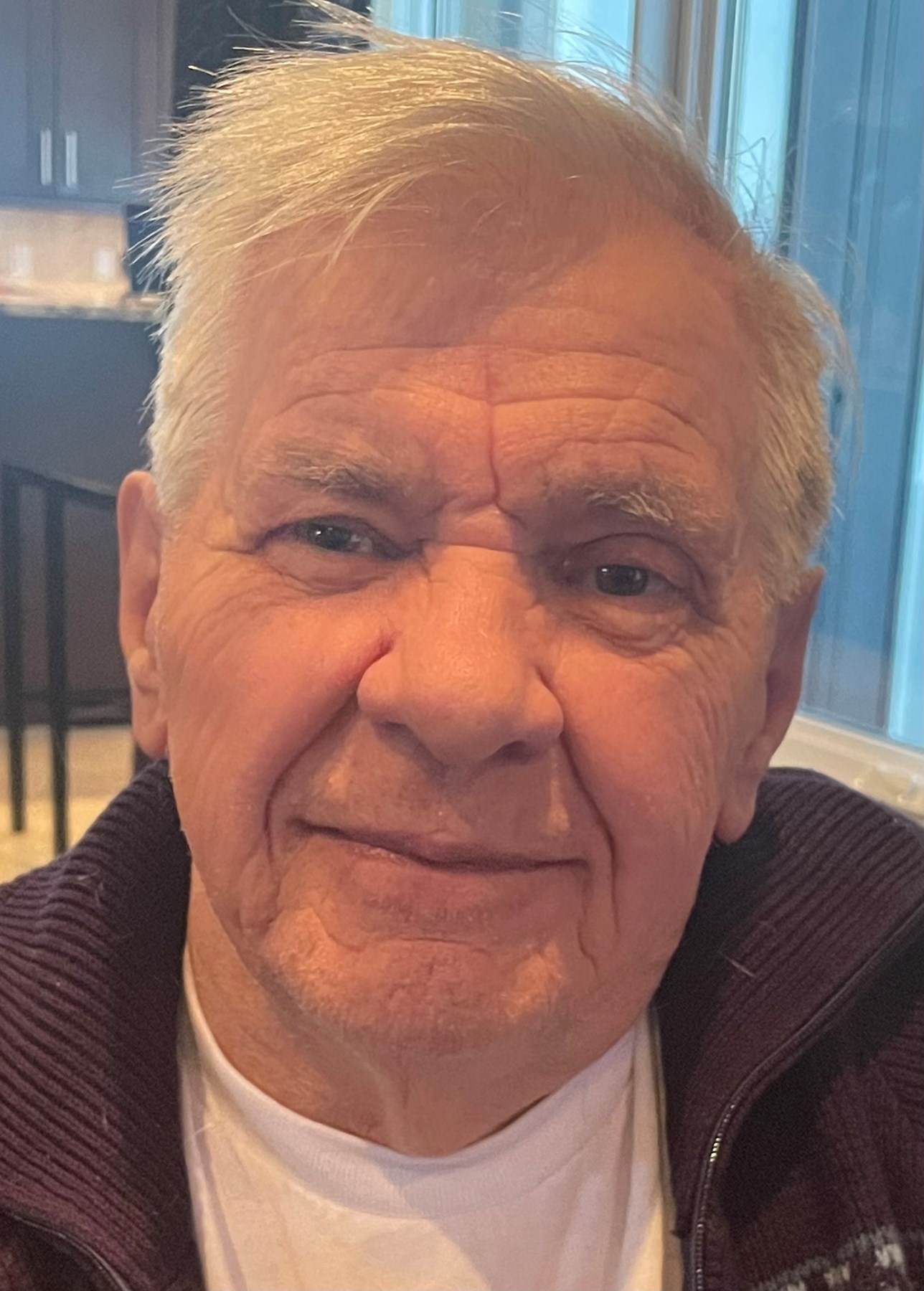 Adolph Suchoplas Obituary - Stony Plain, AB