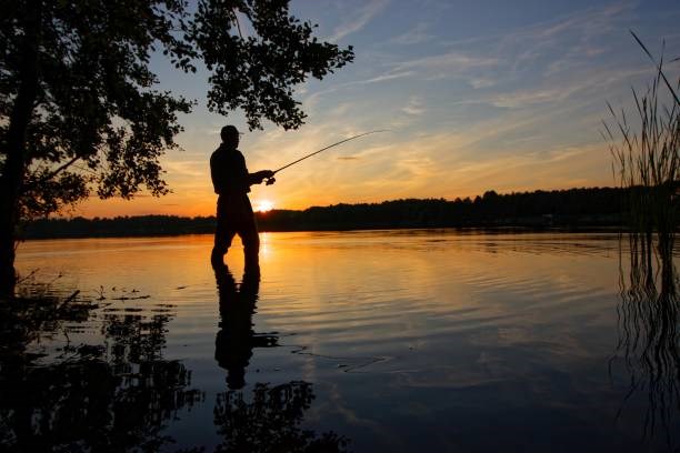 Larry Gipson Obituary - Pearl, MS