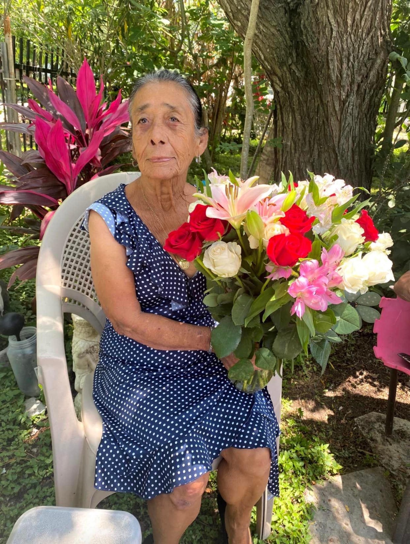 Alicia Nila Obituary - Houston, TX