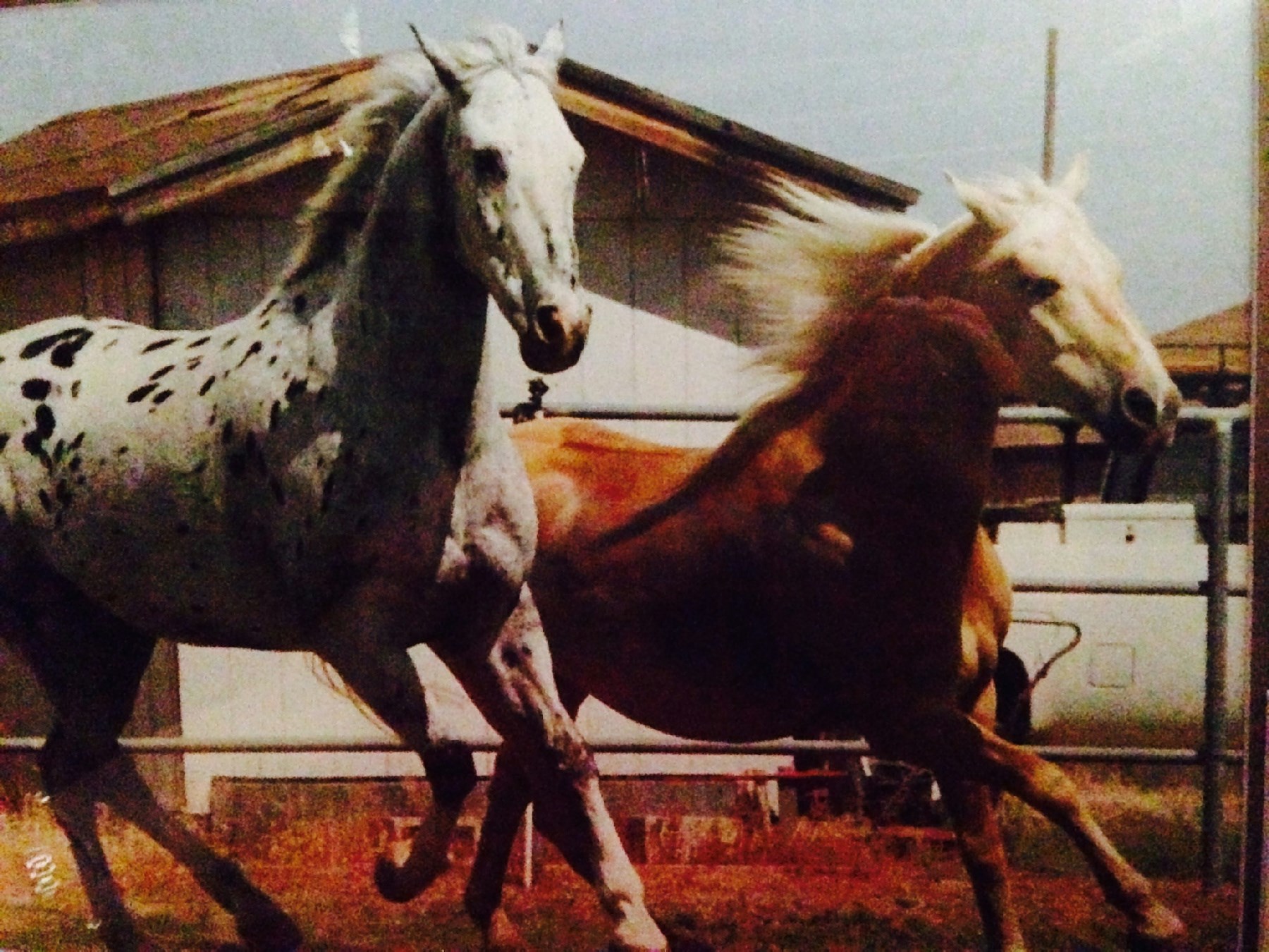 Carol Ann Featherston Obituary - Phoenix, AZ