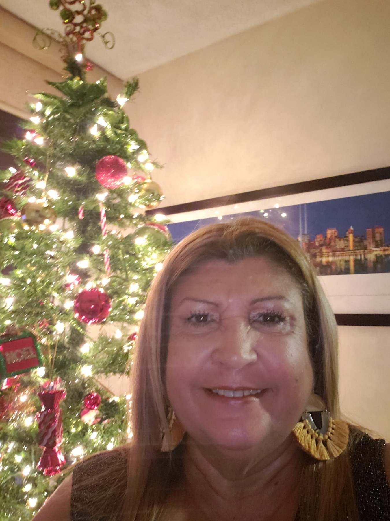 Luz Abreu Colón Obituary - Bayamon, PR