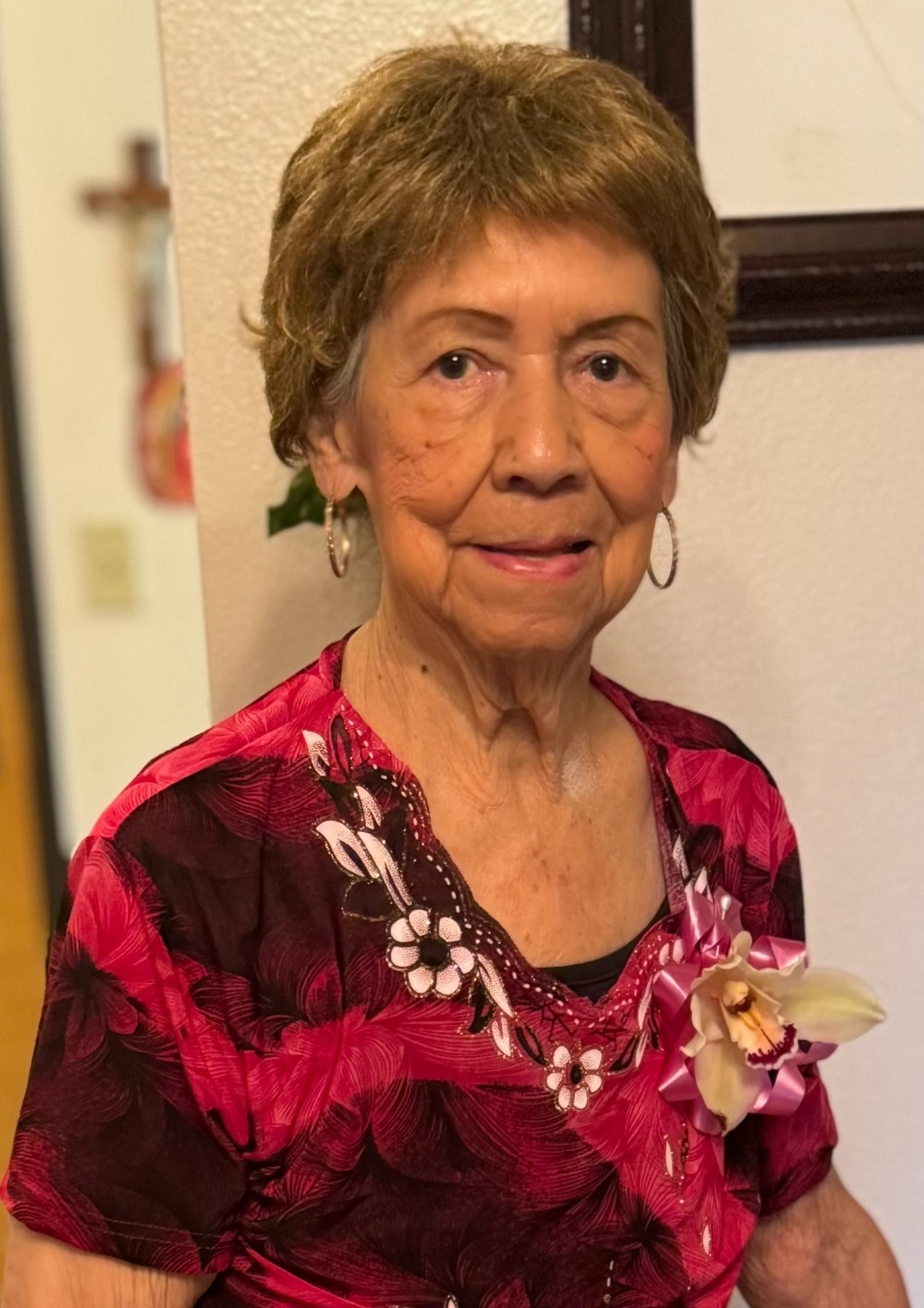 Amelia Sanchez Obituary - San Antonio, TX