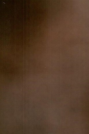 Georgina Aguiar Obituary - Tampa, FL Georgina Aguiar Obituary - Tampa, FL