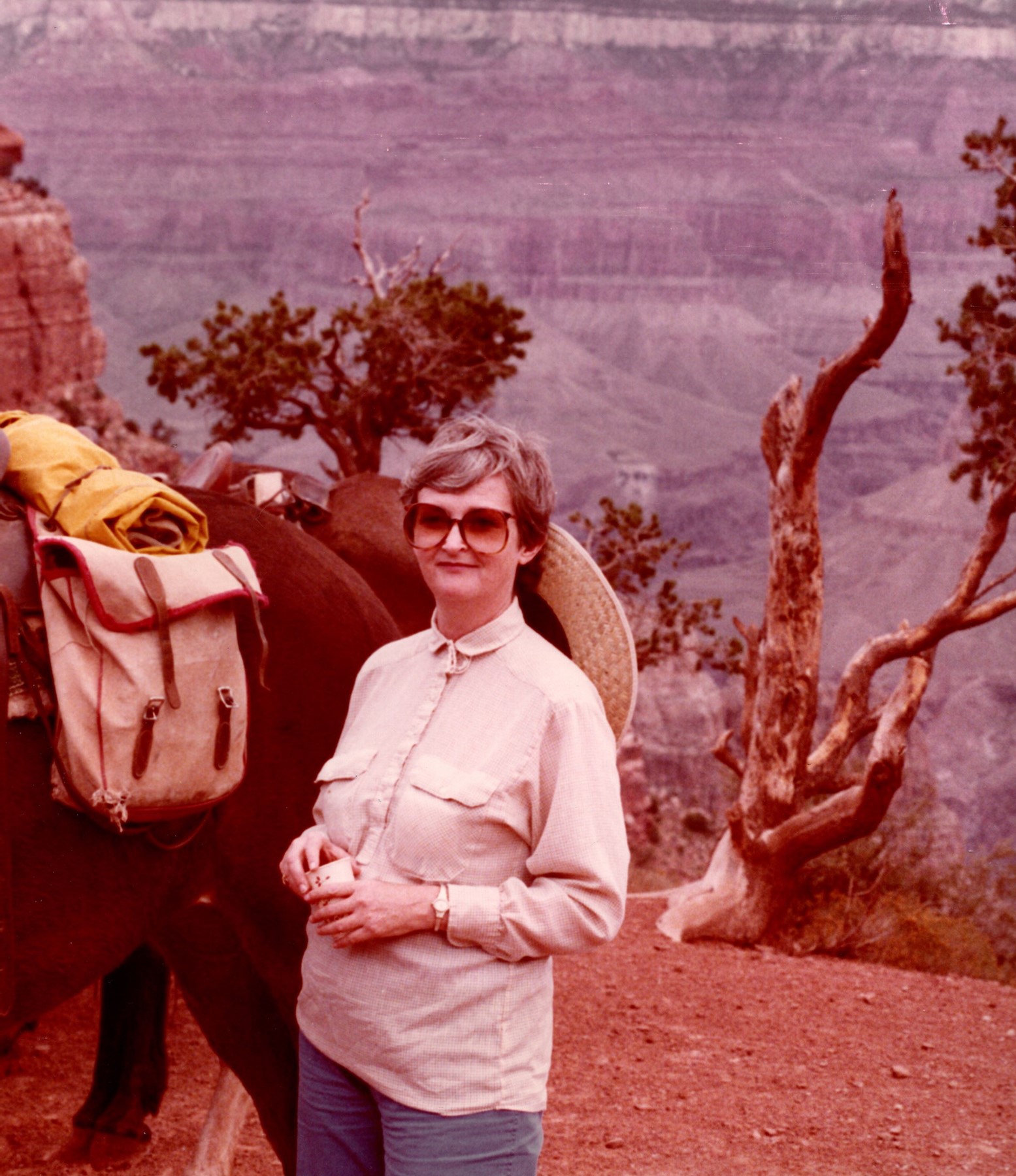 Sarah Hough Obituary - Raleigh, NC