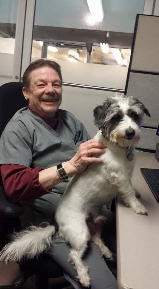 Bruce Alexander Joseph Boyko Obituary - Hamilton, ON