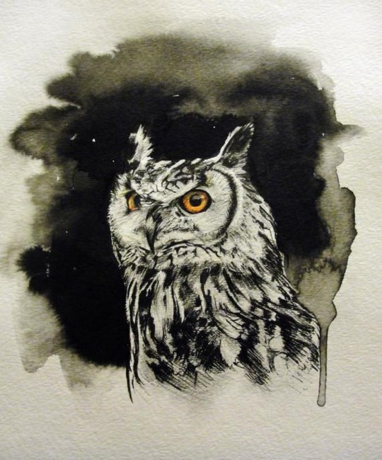 Craig Meister Obituary - Fountain, CO