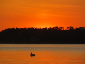 Arthur Wiens Obituary - Salem, OR