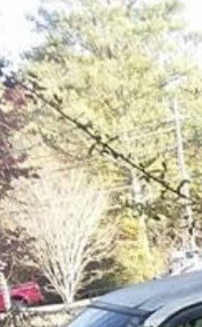 Gary Wayne Barnett Obituary - Anniston, AL Gary Wayne Barnett Obituary - Anniston, AL