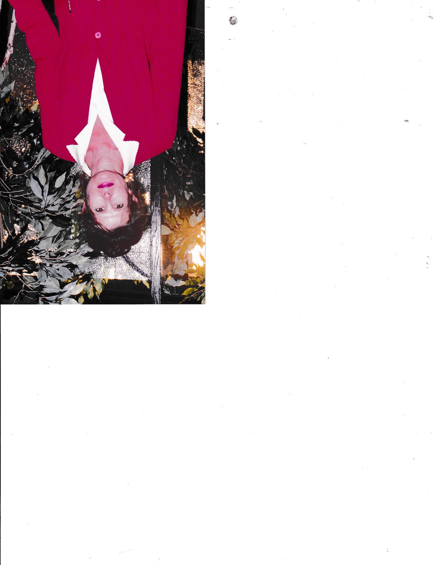 Linda Sheffield Obituary - Gotha, FL