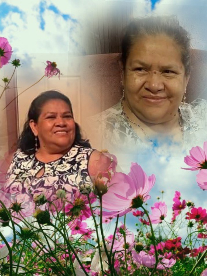 Maria Salgado De Garnica Obituary - Houston, TX