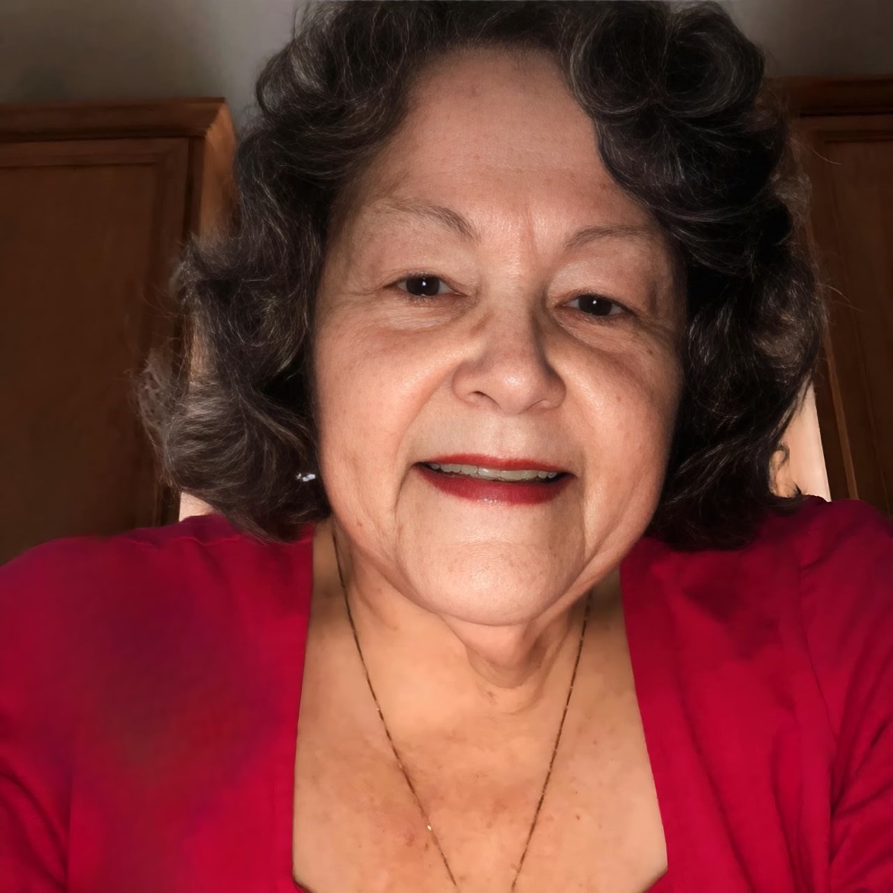 Linda Ezernack Obituary - The Woodlands, TX