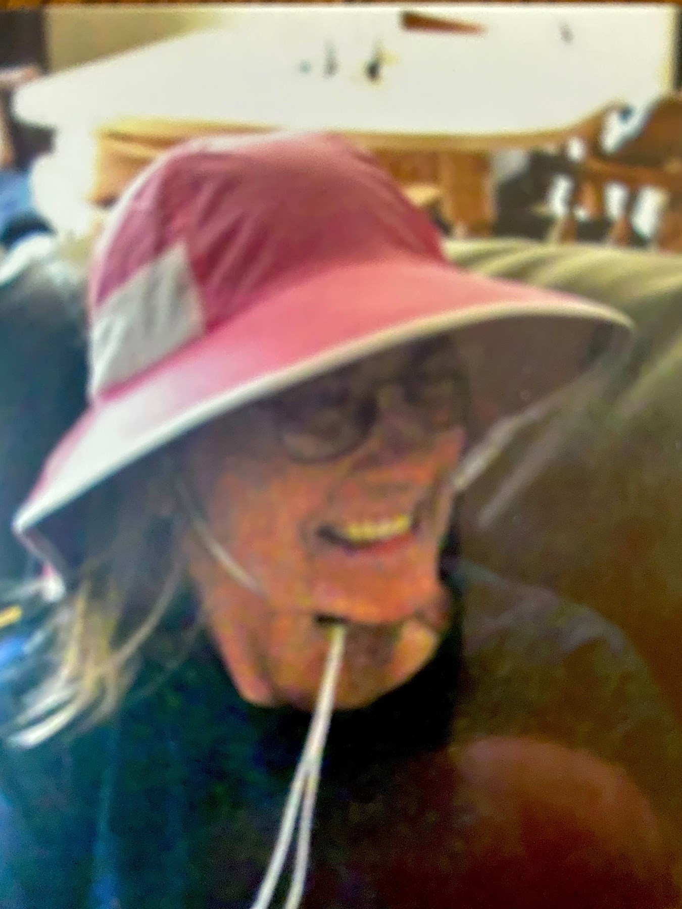 Mary McAlpine Obituary - Temple Terrace, FL