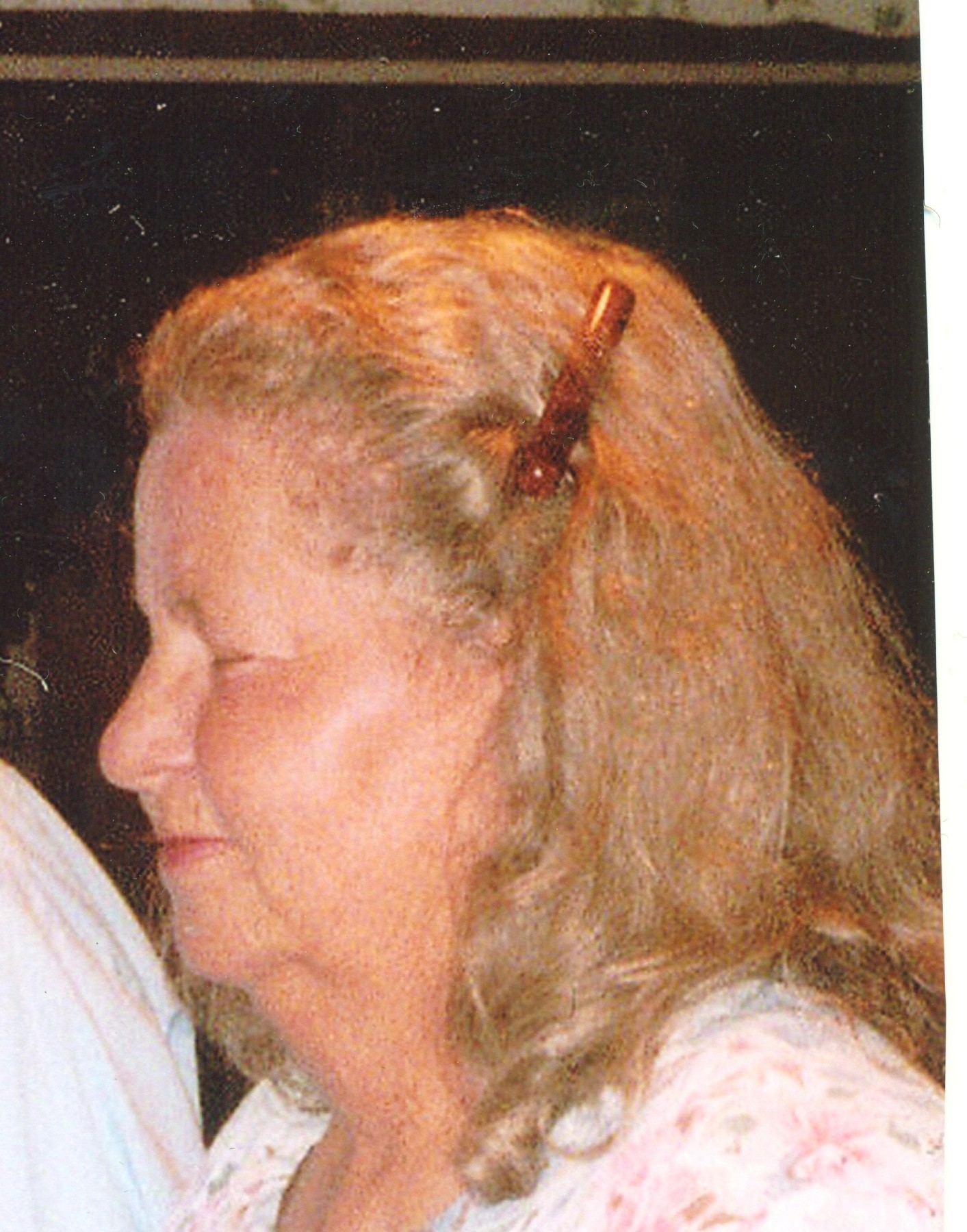 Jerolyn McGrath Obituary - Muskegon, MI