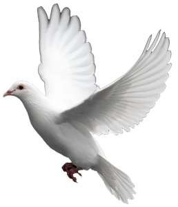 Inocencio Torres Obituary - Brownsville, TX