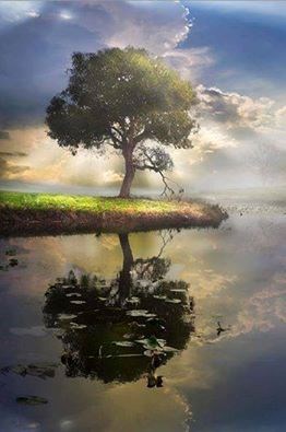 John Edward Ryan Obituary - Roswell, GA