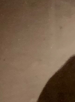 Alicia Reyes Giner Obituary Baytown Tx