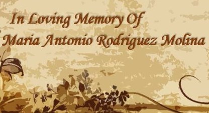 Maria Rodriguez Molina Obituary - Hialeah, FL