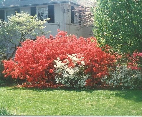 Helen Stuart Obituary - Washington, DC
