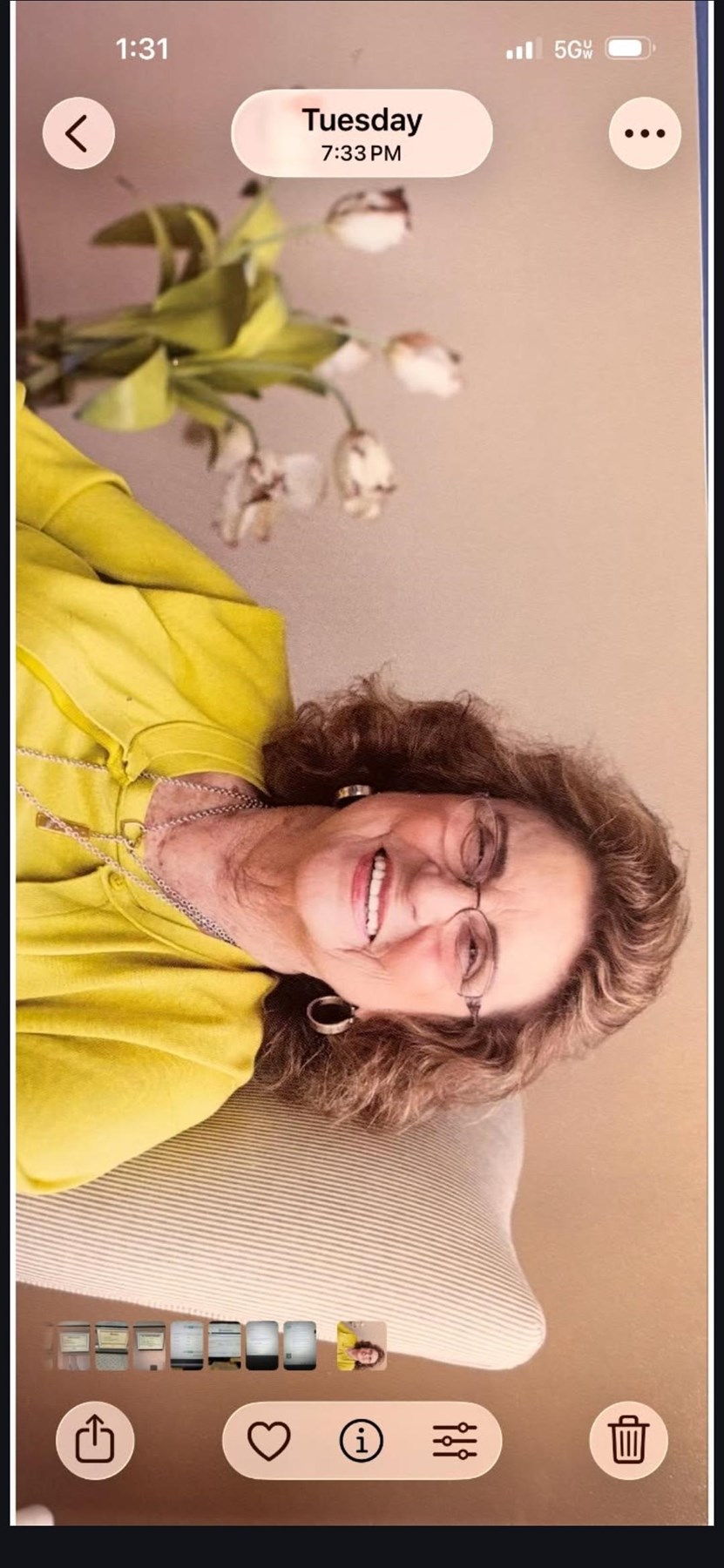 Nancy Dominicis-Smith Obituary - Arlington Heights, IL