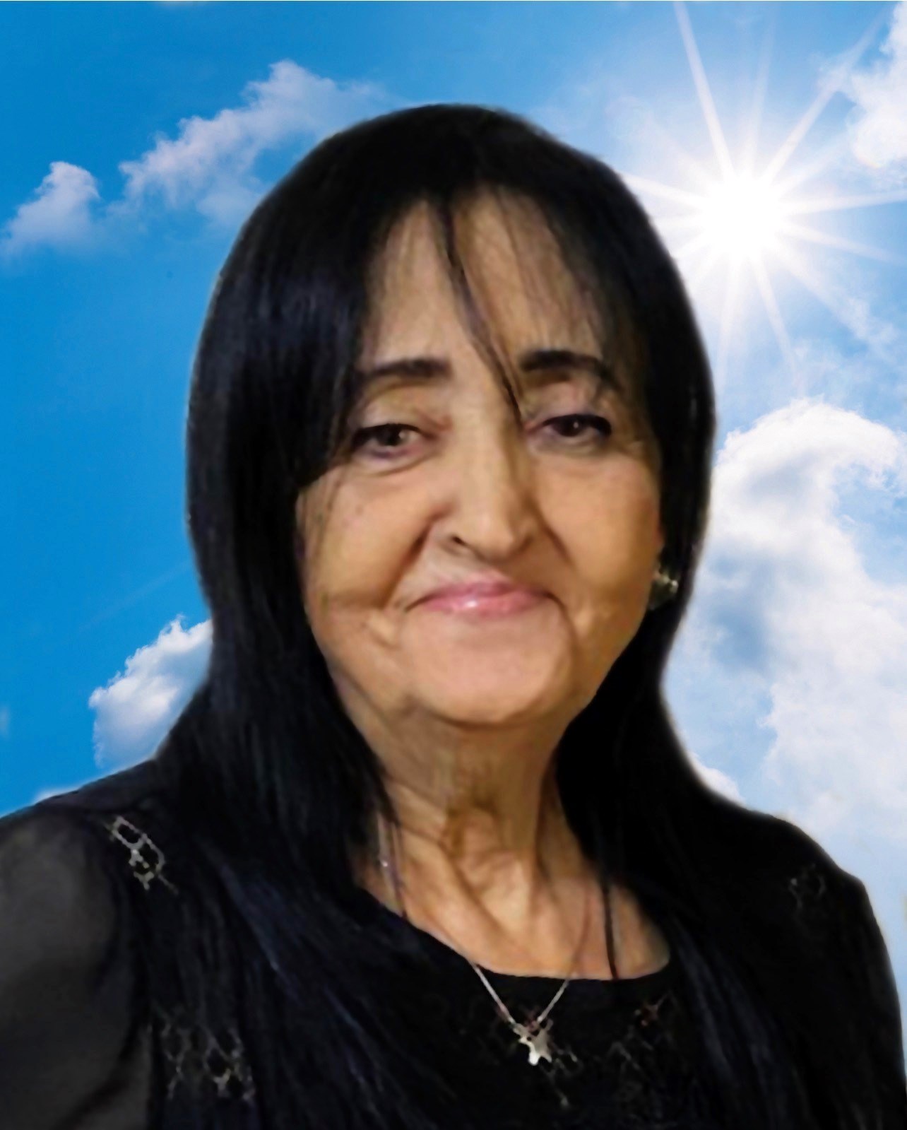 Renee Youssef Obituary - Clearwater, FL