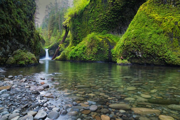 Brian Jewell Waters Obituary - Salem, OR
