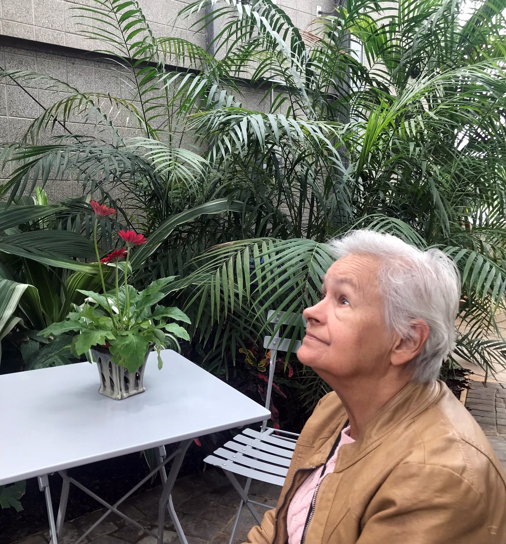 Jennifer Grow Obituary - Rockford, IL