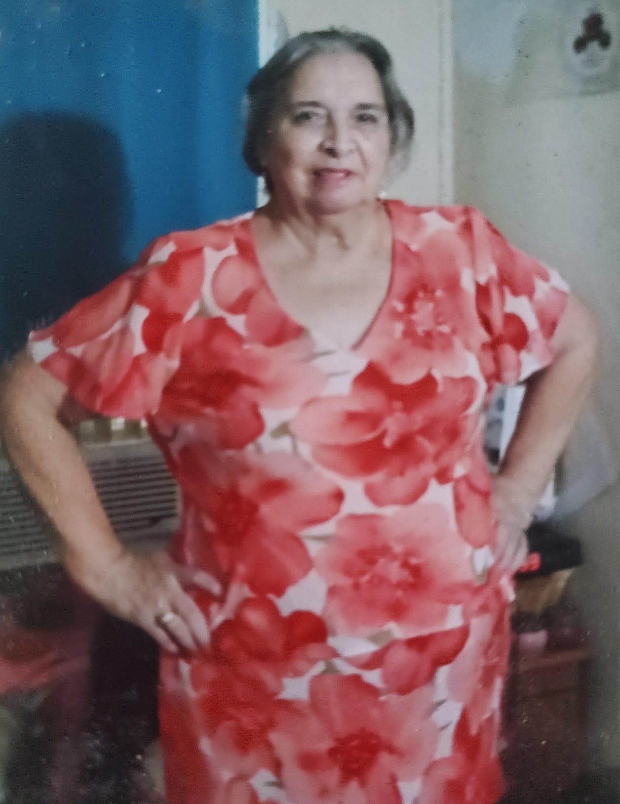 Maria Josefina Chavez Obituary - Pharr, TX