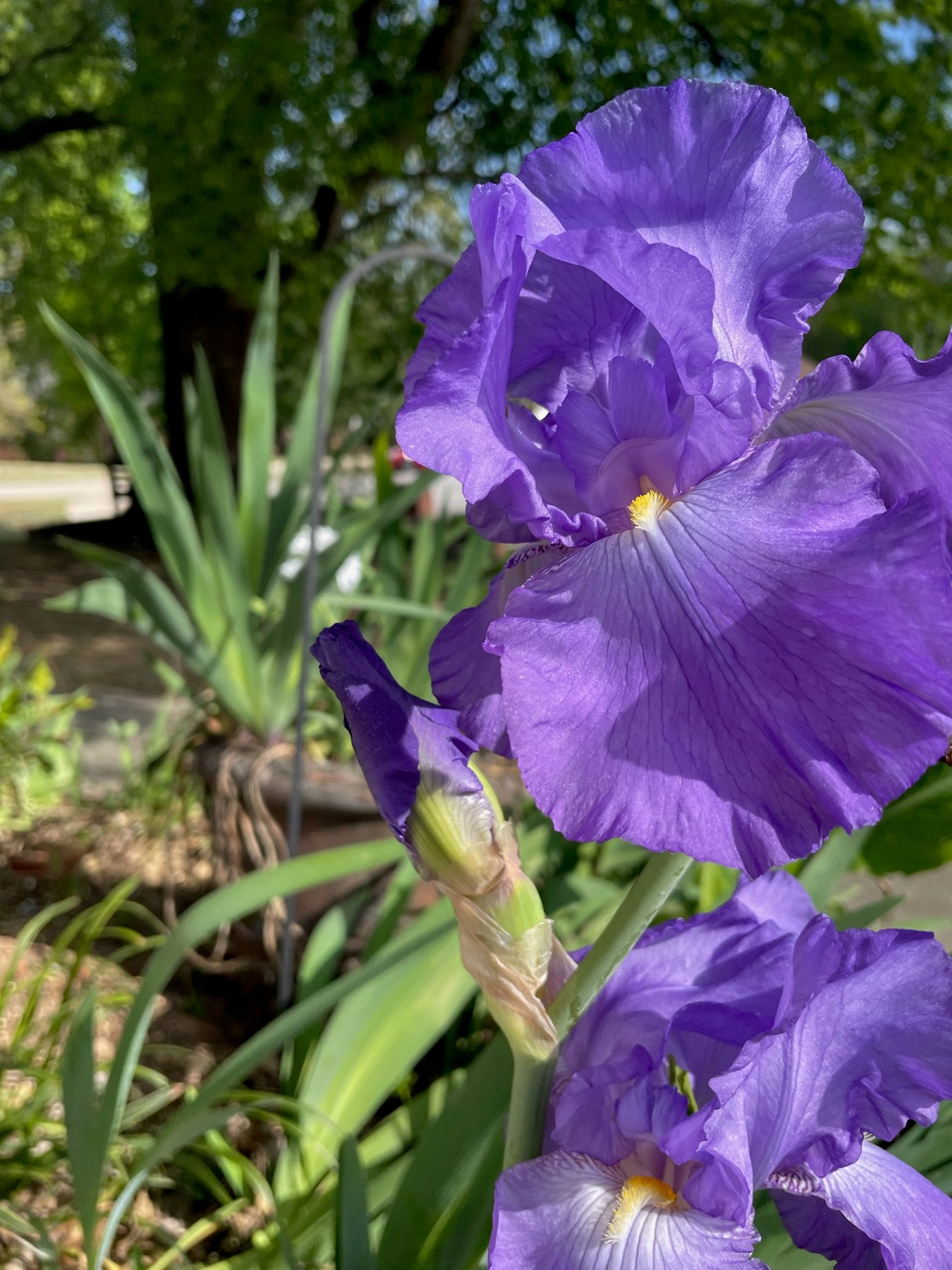 Lois Kiser Obituary - Marietta, GA